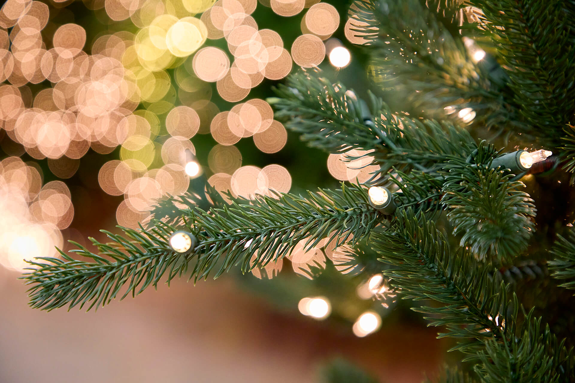 Artificial Christmas Trees: Spotlight on Decorator’s Warehouse Prelit ...