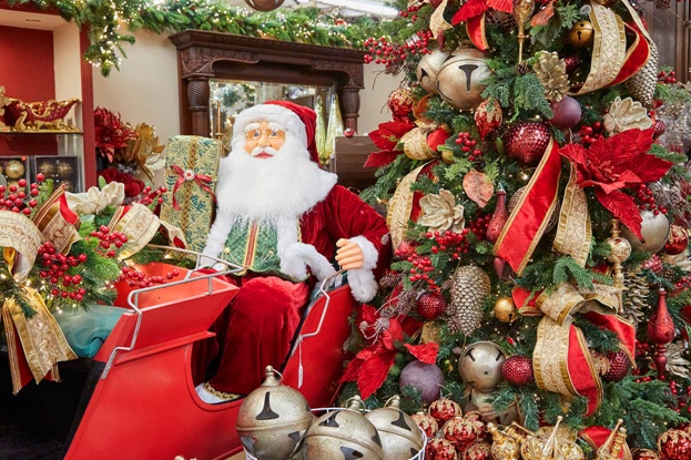 Christmas Tree Decoration Starter Kit: A Guide to the Remarkable ...