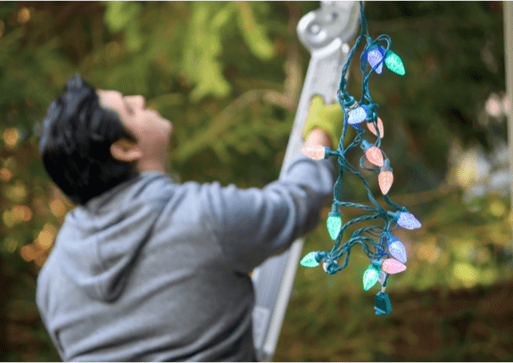 Commercial & Outdoor Christmas Lights | Decorator's Warehouse
