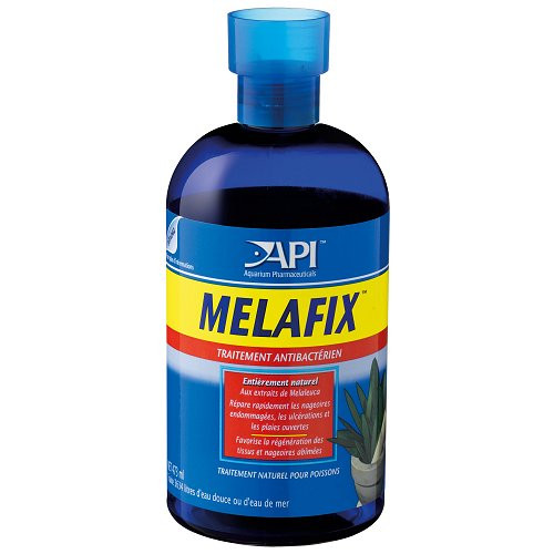 API Melafix Medication , 16 oz. - AquaCave.com | AquaCave