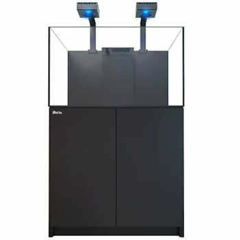 Red Sea Aquariums | AquaCave