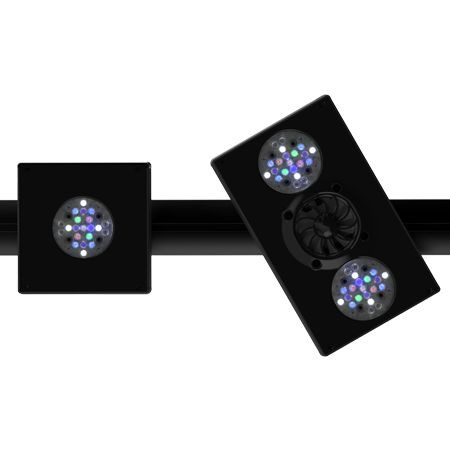 SHOP - Lighting - LED Aquarium Lighting - EcoTech Radion LED - AquaCave.com