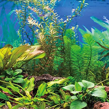 Aquarium Decor | AquaCave