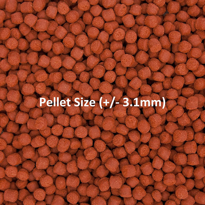 Ocean Nutrition Formula One Marine Pellets, Medium, 100 gr. / 3.5 oz ...