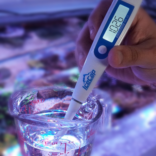 IceCap Salinity/Temperature Digital Pocket Tester v3 - AquaCave.com ...