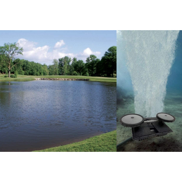 Blue Diamond 2 x 10" Disk Diffuser Station - AquaCave.com | AquaCave