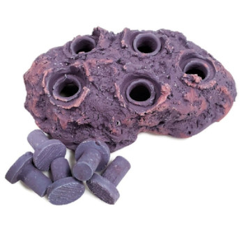 Ocean Wonders Frag Hub 5.0 - Purple - AquaCave.com | AquaCave