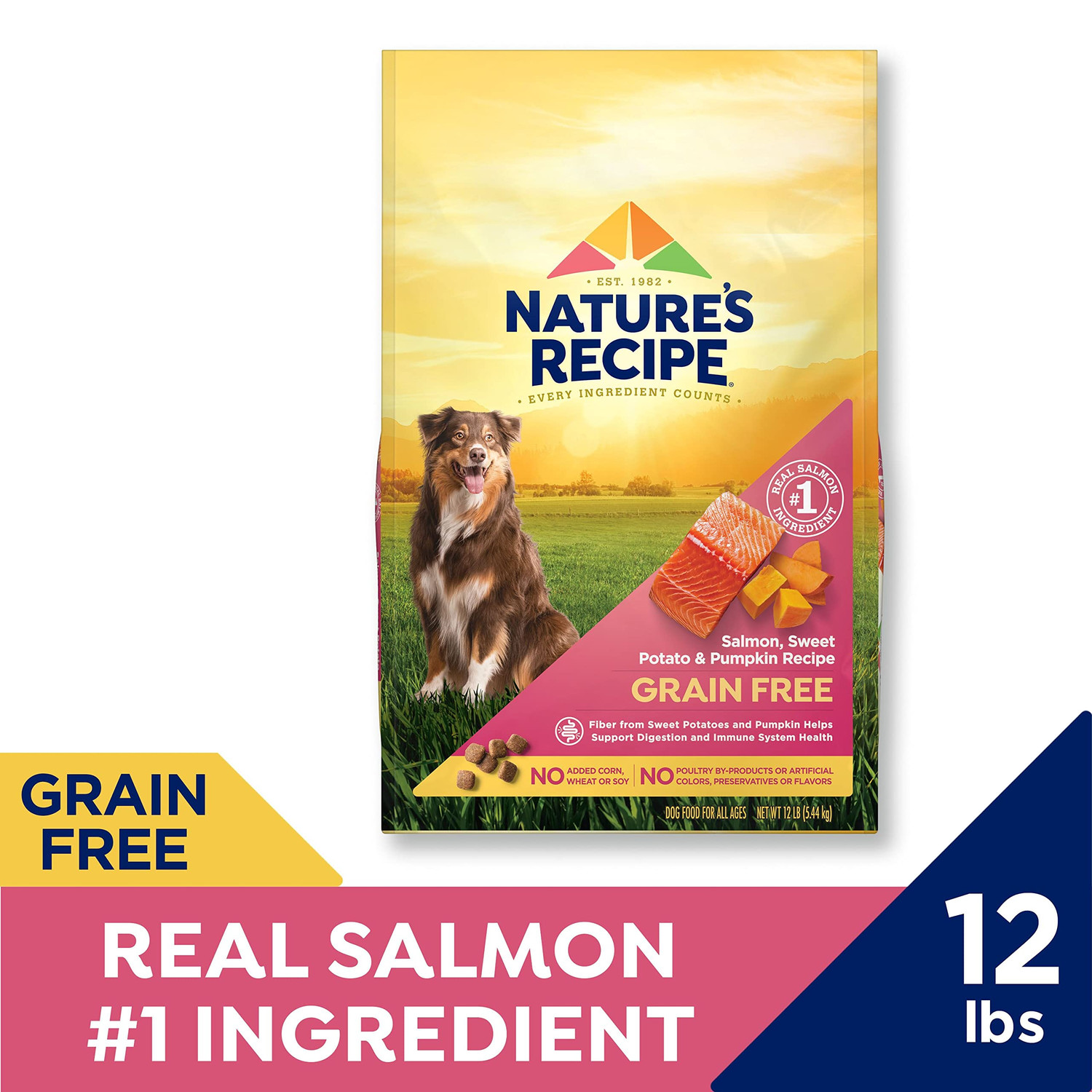 Nature'S Recipe Nature'S Recipe Grain Dry Dog Food Salmon Sweet Potato ...
