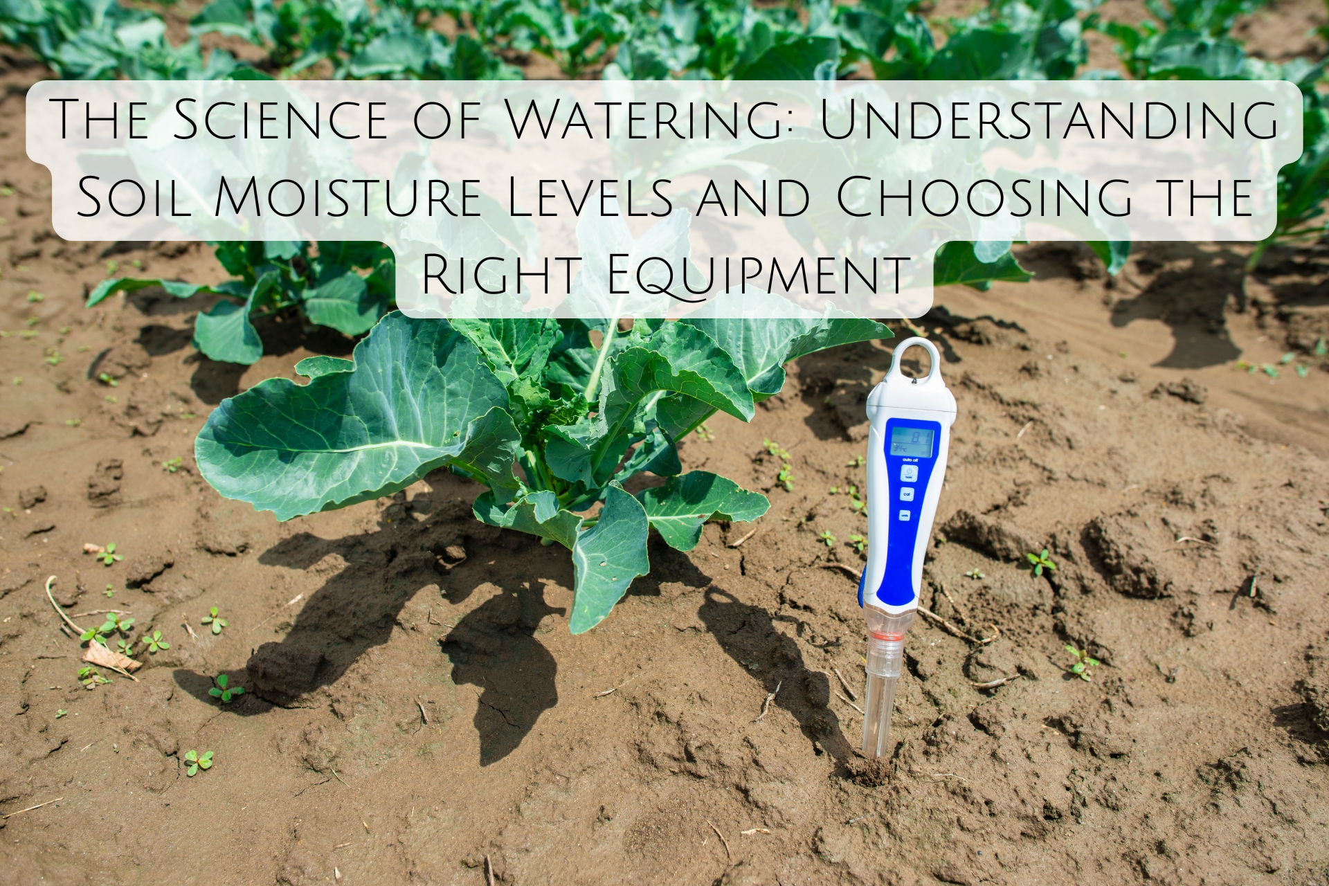 The Science of Watering: Understanding Soil Moisture Levels and ...