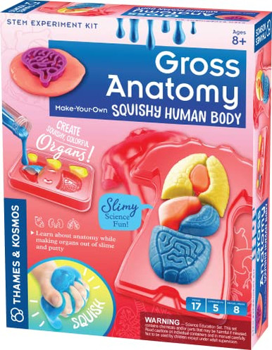 Thames & Kosmos Gross Anatomy: Make-Your-Own Squishy Human Body Stem ...