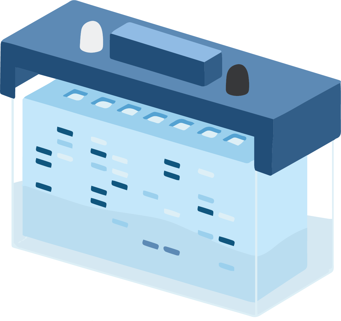All you need to know when choosing a Gradient Gel - St John's ...