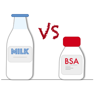Choosing BSA vs Non-Fat Milk - St John's Laboratory Ltd