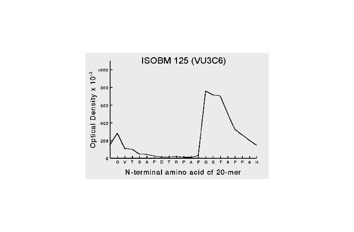 MUC1/EMA/PEM/CD227 antibody | Anti-MUC1/EMA/PEM/CD227 | stjohnslabs