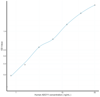 Human ADCY1 ELISA Kit | Adenylate Cyclase 1, Brain ELISA | stjohnslabs