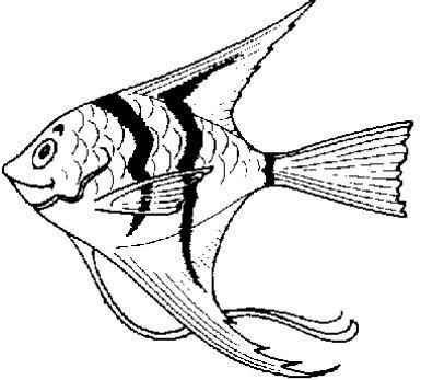 Mayflower - Cling Mount by Emerald Creek