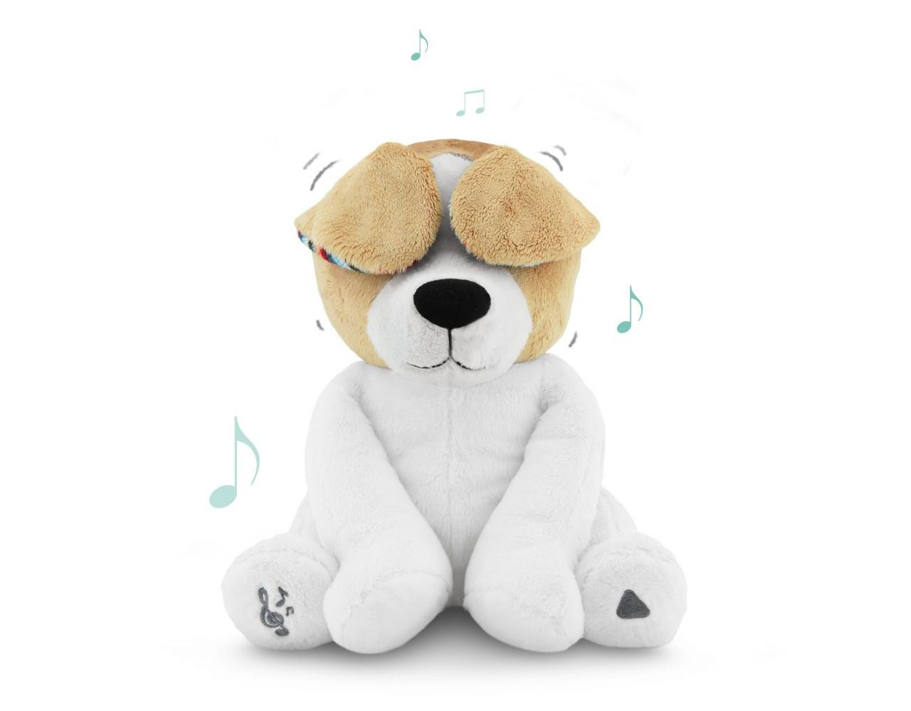 Buy Zazu Peek-A-Boo Plush Danny the Dog Online - Babies Nz