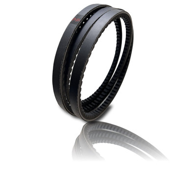 BX146 Cogged V Belt Interchangeable with Browning Type BX