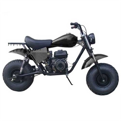 Buy TRAILMASTER MB200-2 MINI BIKE for Sale at Txpowersports.com