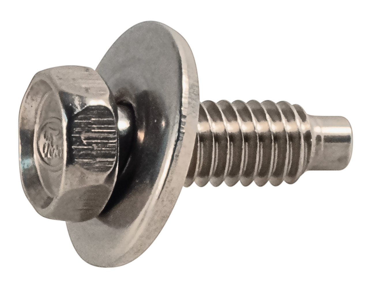 BODY BOLT SET - STAINLESS WITH FORD LOGO - 0.3125in – 18 × 1 (378178-FORD)