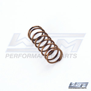 WSM Power Valve Spring for Sea-Doo 951 DI 2000-2007 290939130 ...