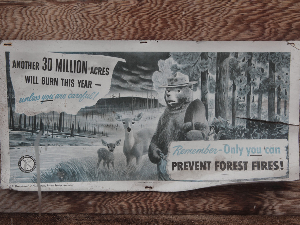 Prevent Forest Fires
