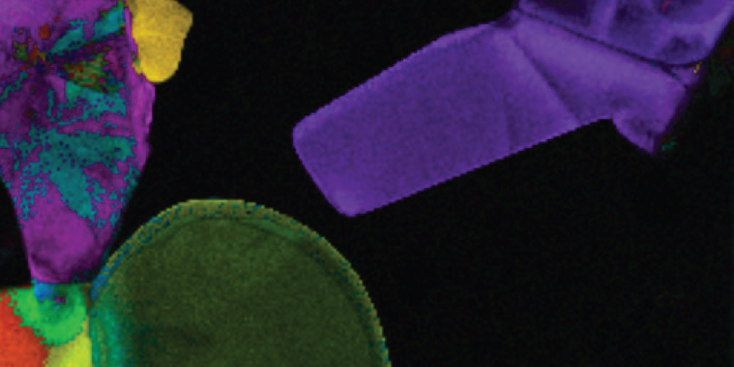 AMETEK Electron Microscopy | Gatan & EDAX