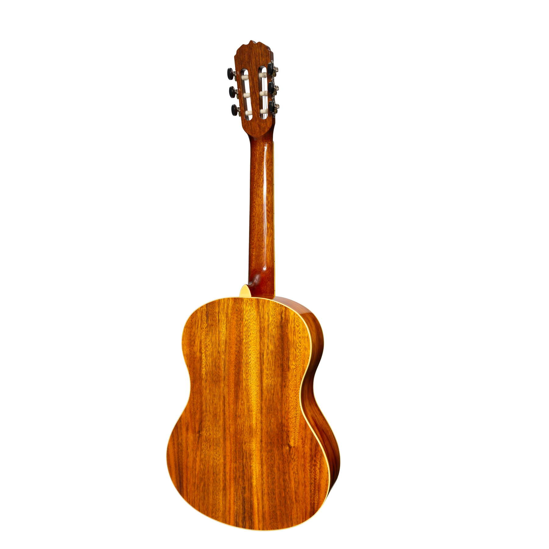 Sanchez Full Size Student Classical Acoustic Guitar Rosewood (Gloss ...