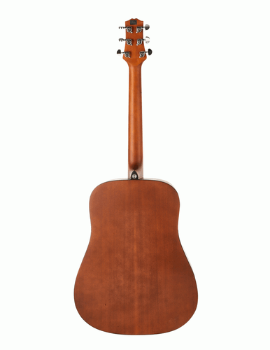 The Ashton D20 MS Acoustic Guitar