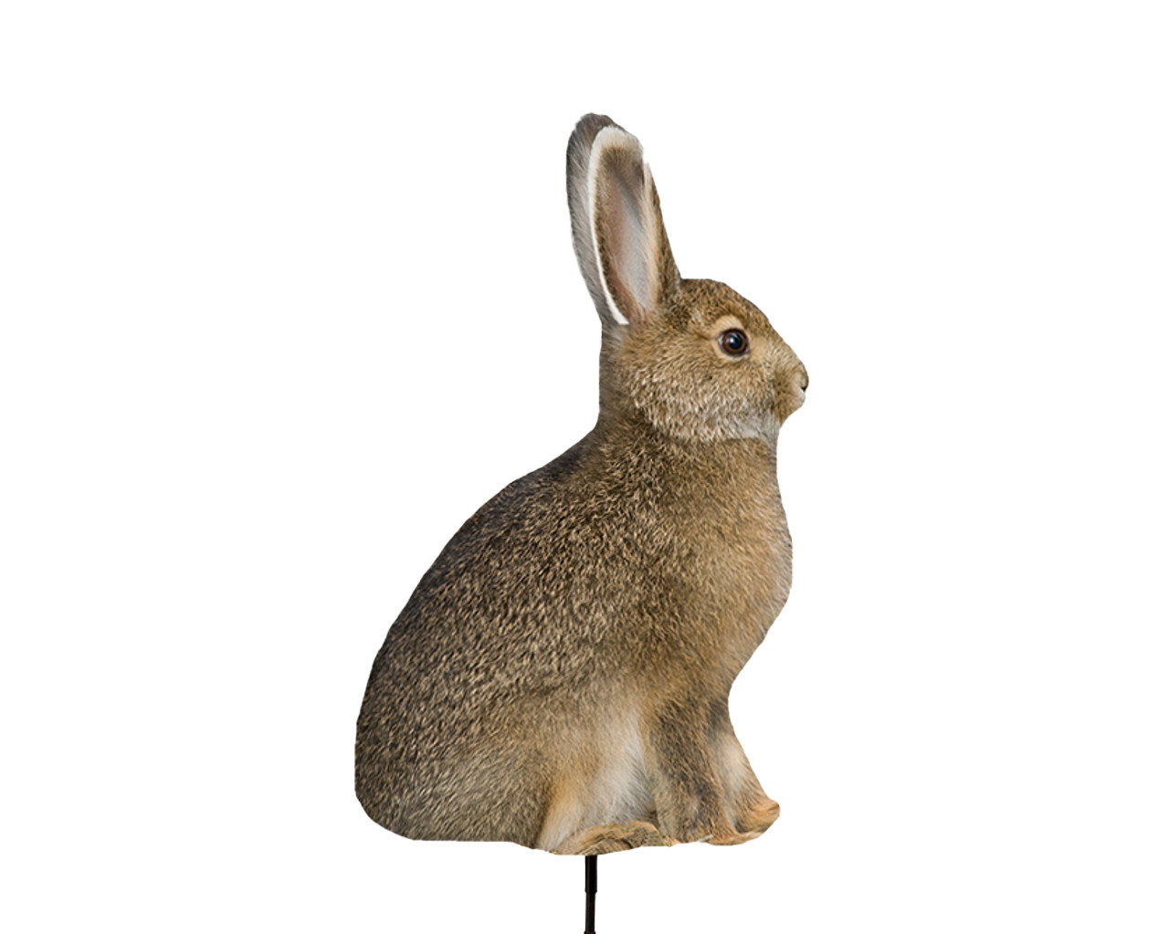 Montana Decoy -Miss Hoptober Predator Decoy