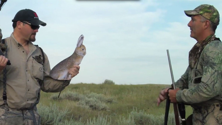 Montana Decoy -Miss Hoptober Predator Decoy