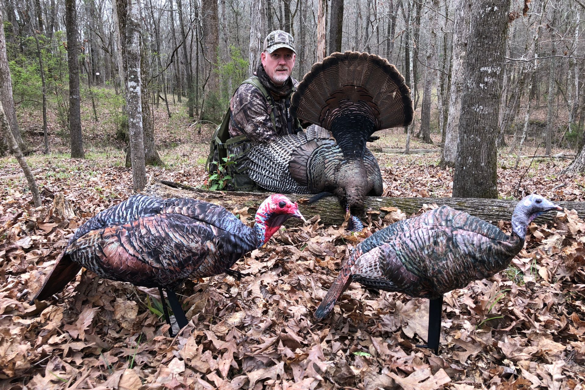 7 Steps to Success for the Run-N-Gun Turkey Hunter - Montana Decoy