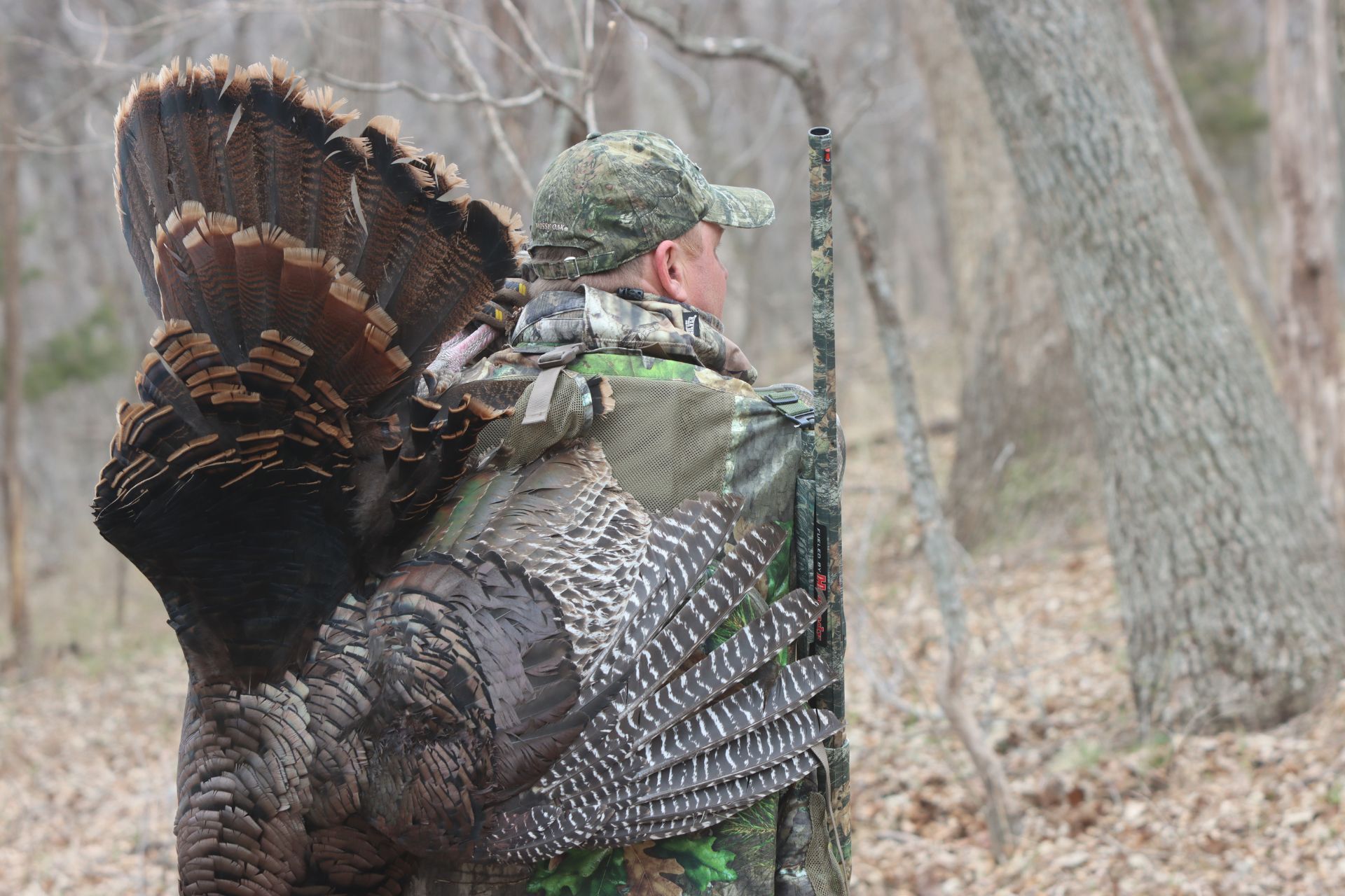 It's Time to Tick off the Boss Hen - Montana Decoy