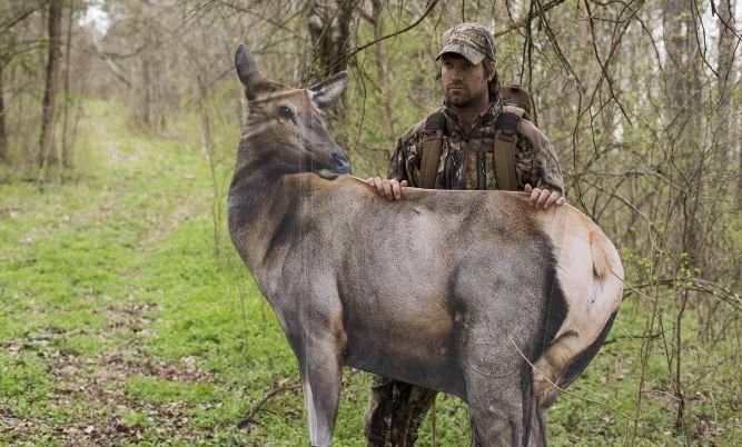 HUNTING PUBLIC LAND ELK WITH A MONTANA DECOY - Montana Decoy