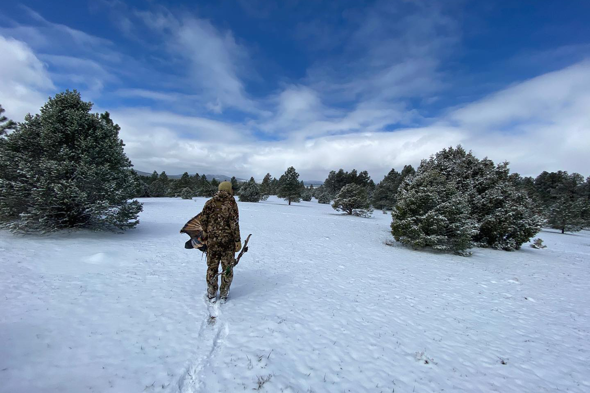 Hunting Turkeys in Bad Weather - Montana Decoy
