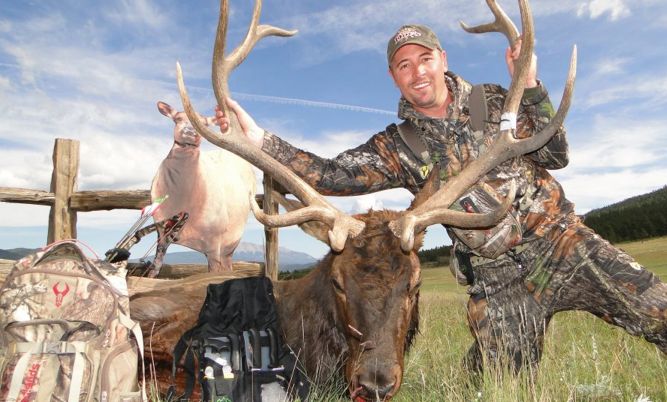 WHY MONTANA DECOY MAKES SO MANY ELK DECOYS? - Montana Decoy