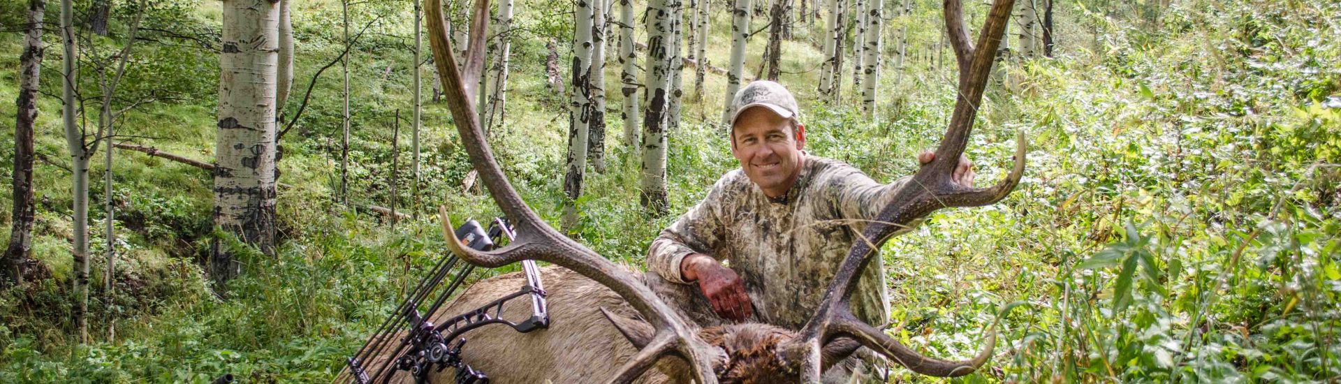 CHOOSING A BROADHEAD FOR ELK - Montana Decoy