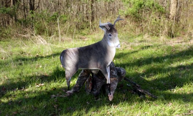 Early Season Deer Calling With Decoys - Montana Decoy