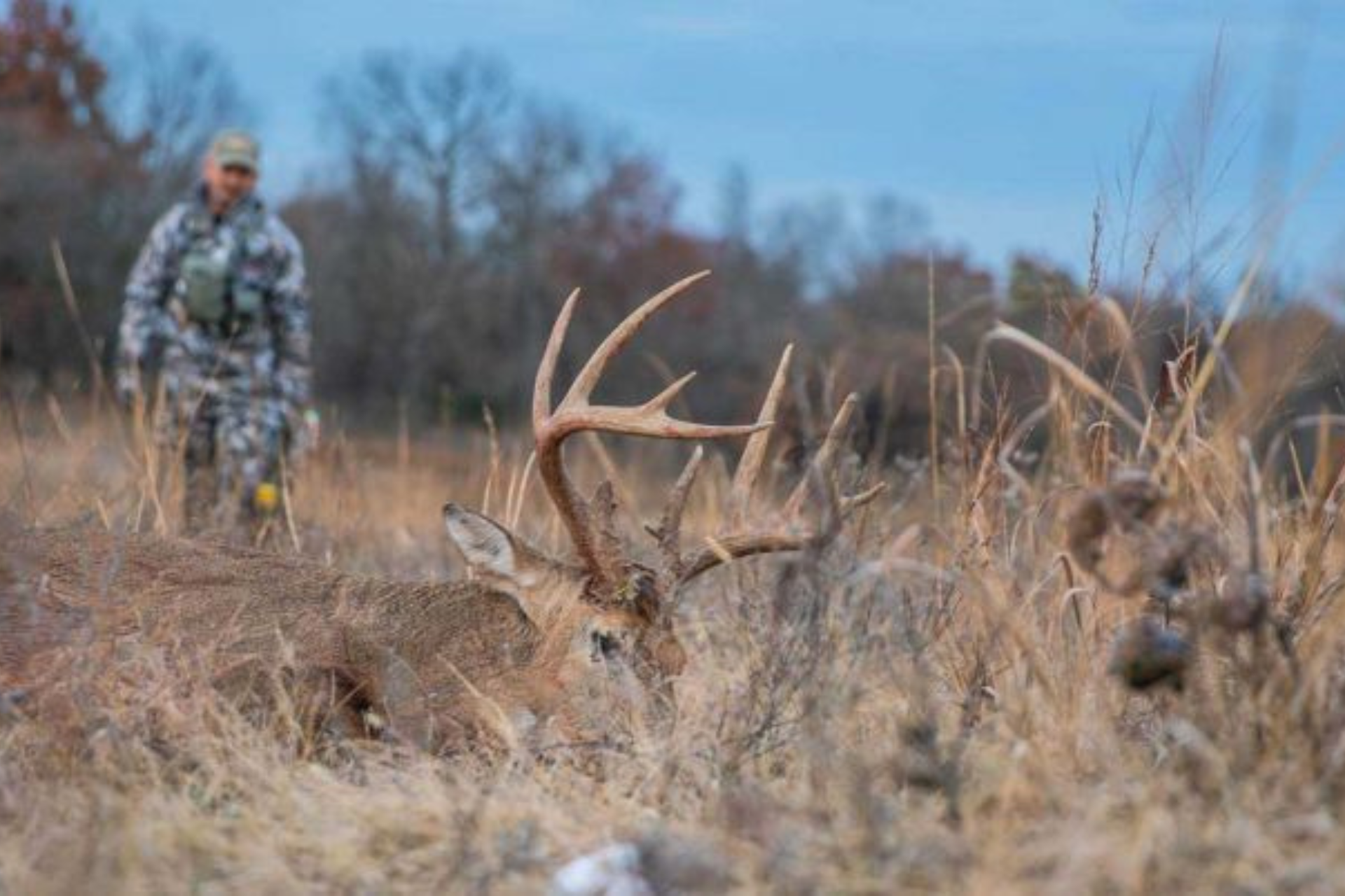 5 Post-Rut Whitetail Hunting Tips - Montana Decoy