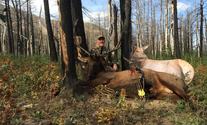 UTILIZING ELK DECOYS; EARLY SEASON VS THE RUT - Montana Decoy