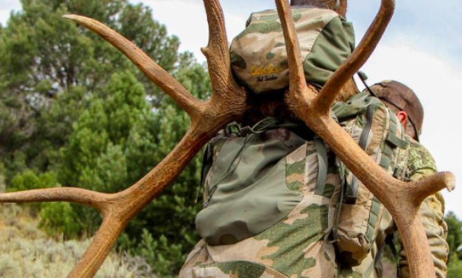 FIELD DRESSING AN ELK IN THE BACKCOUNTRY - Montana Decoy