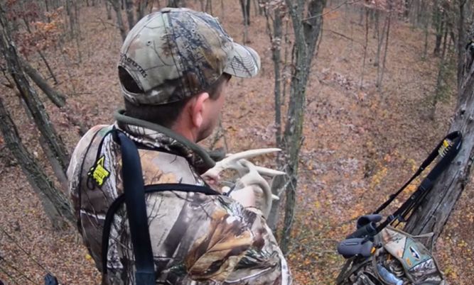 A GUIDE TO RATTLING DEER - Montana Decoy