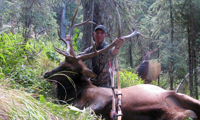 ELK DECOY HELPS TRADITIONAL HUNTER FILL TAG - Montana Decoy