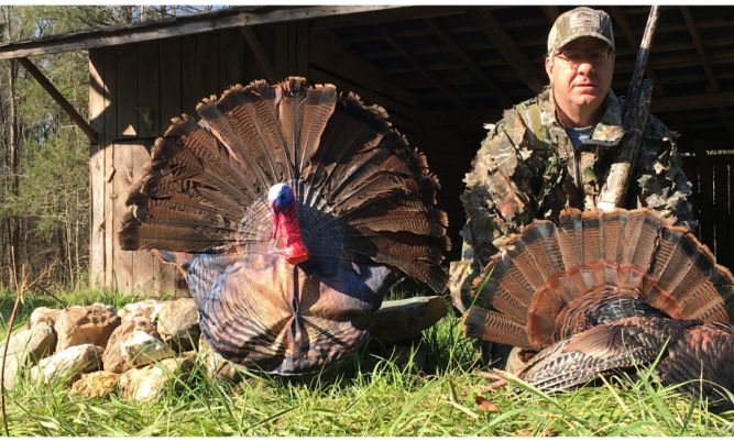 WILD TURKEY HUNTING AND TOOLS OF THE DUPE - Montana Decoy