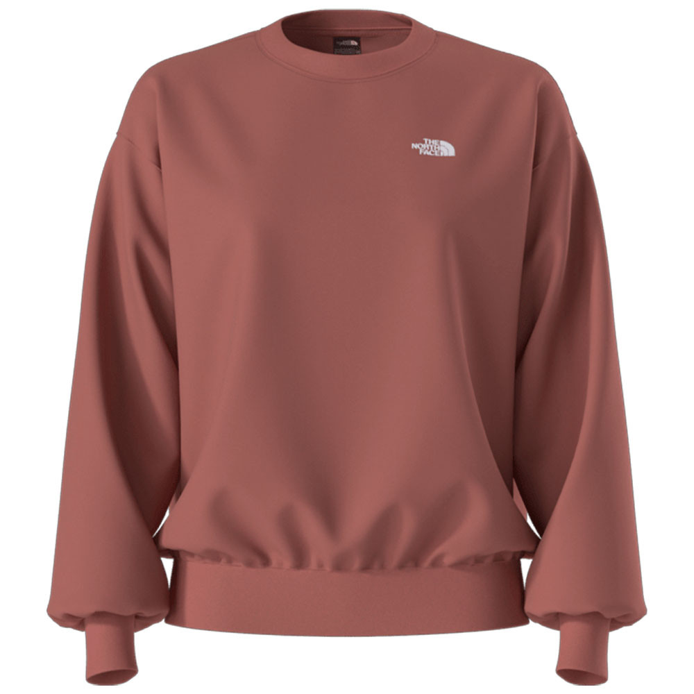 Women's The North Face Evolution Simple Dome Oversized Crewneck ...