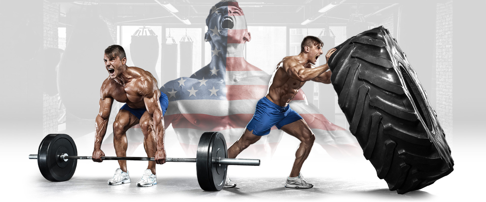 Prolab Nutrition Performance At Your Highest Level