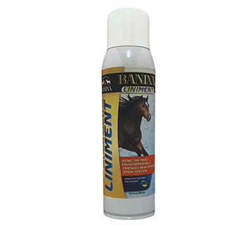Banixx Premium Analgesic Spray Liniment - Fast Relief for Horses & Pets ...