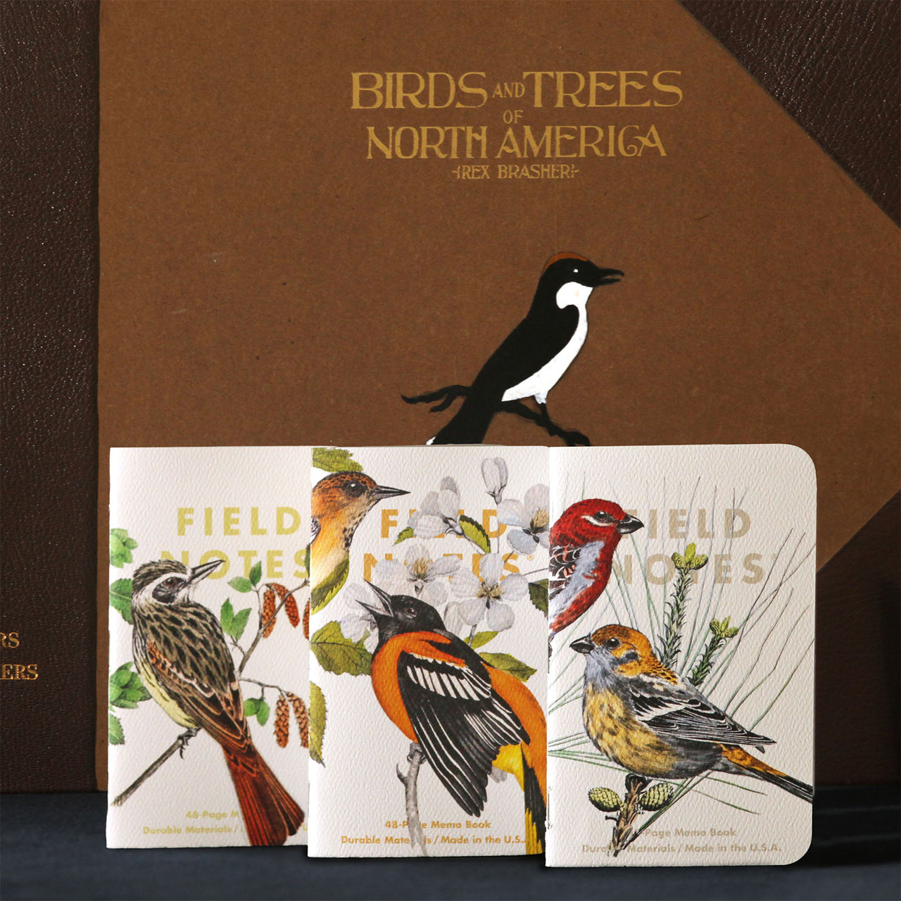 Field Notes Birds & Trees of N.America (B) | Heinnie Haynes