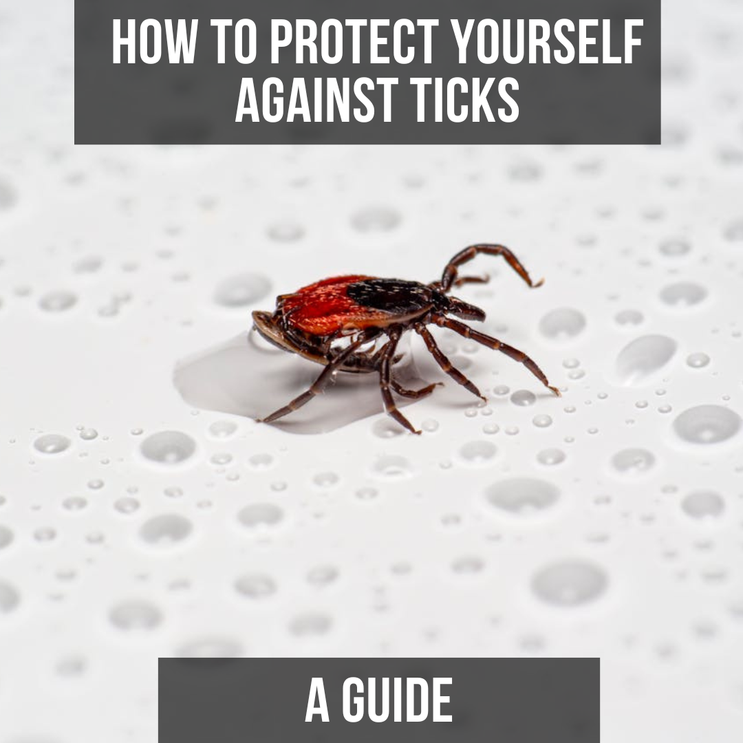How To Protect Yourself Against Ticks: A Guide - Heinnie Haynes