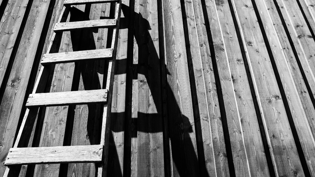 Ladder Evolution: From Wood Rungs to High-Tech