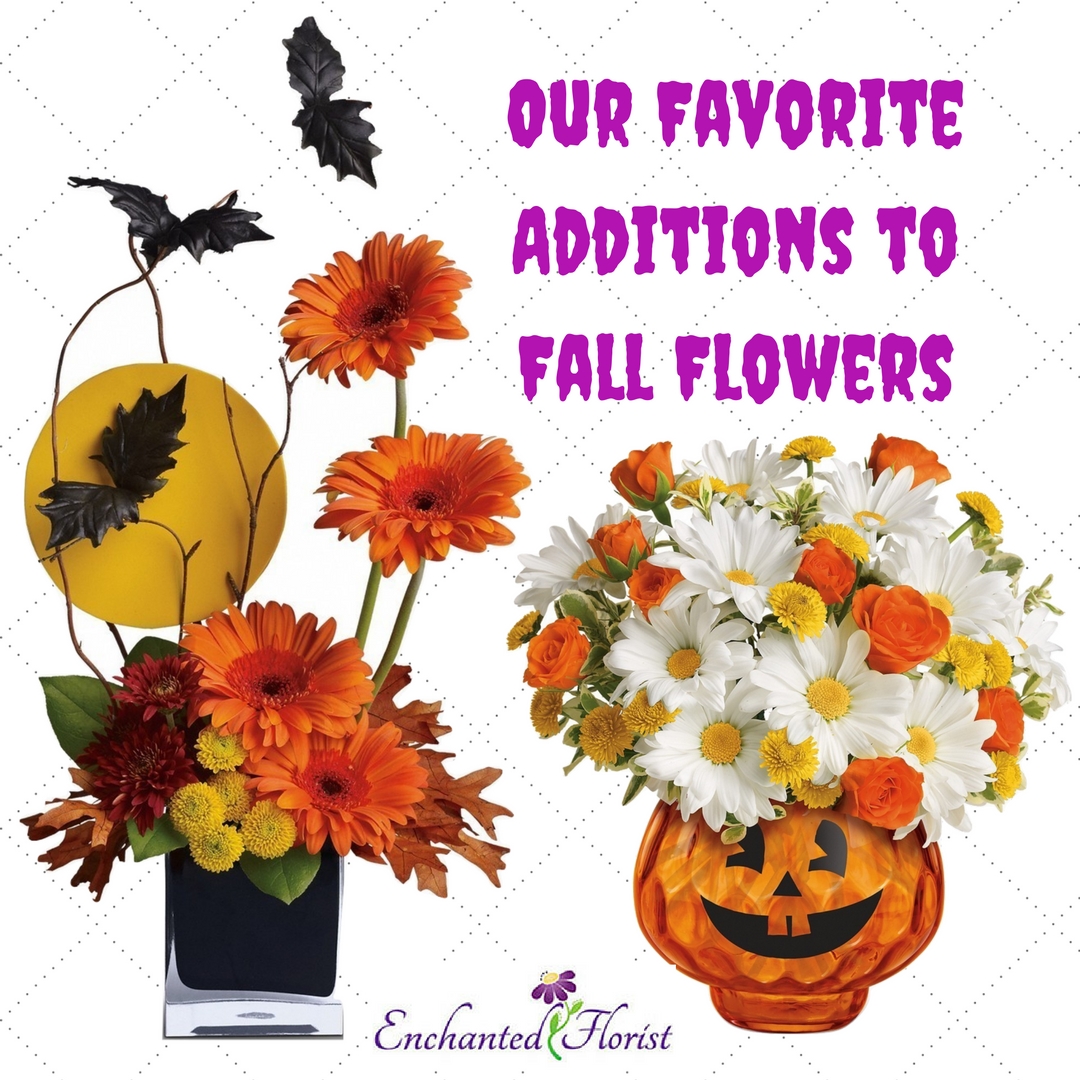 Our Favorite Additions to Our Fall Flowers - Enchanted Florist Pasadena